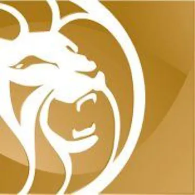 MGM Resorts International (MGM) Institutional Ownership ...